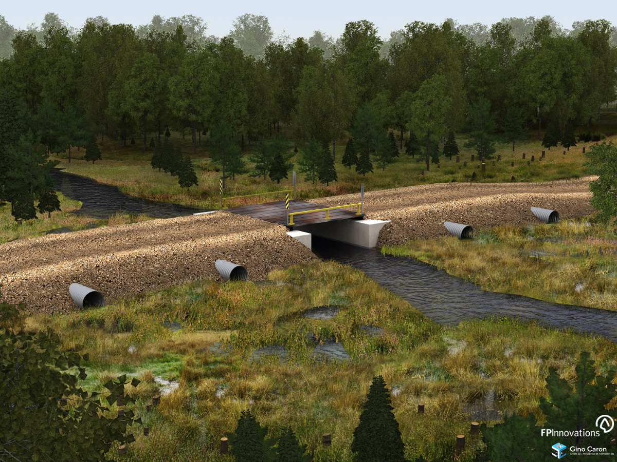 Construction de routes en milieu humide - Gino Caron - Perspective 3D ...