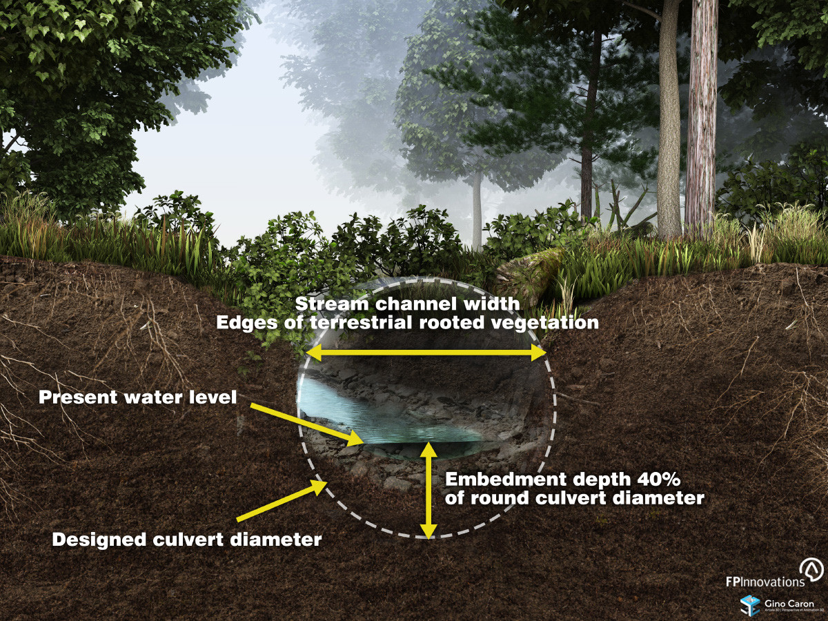 Construction de routes en milieu humide - Gino Caron - Perspective 3D ...